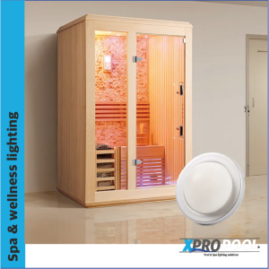 Sauna steam room led Ceiling Lamp RGB